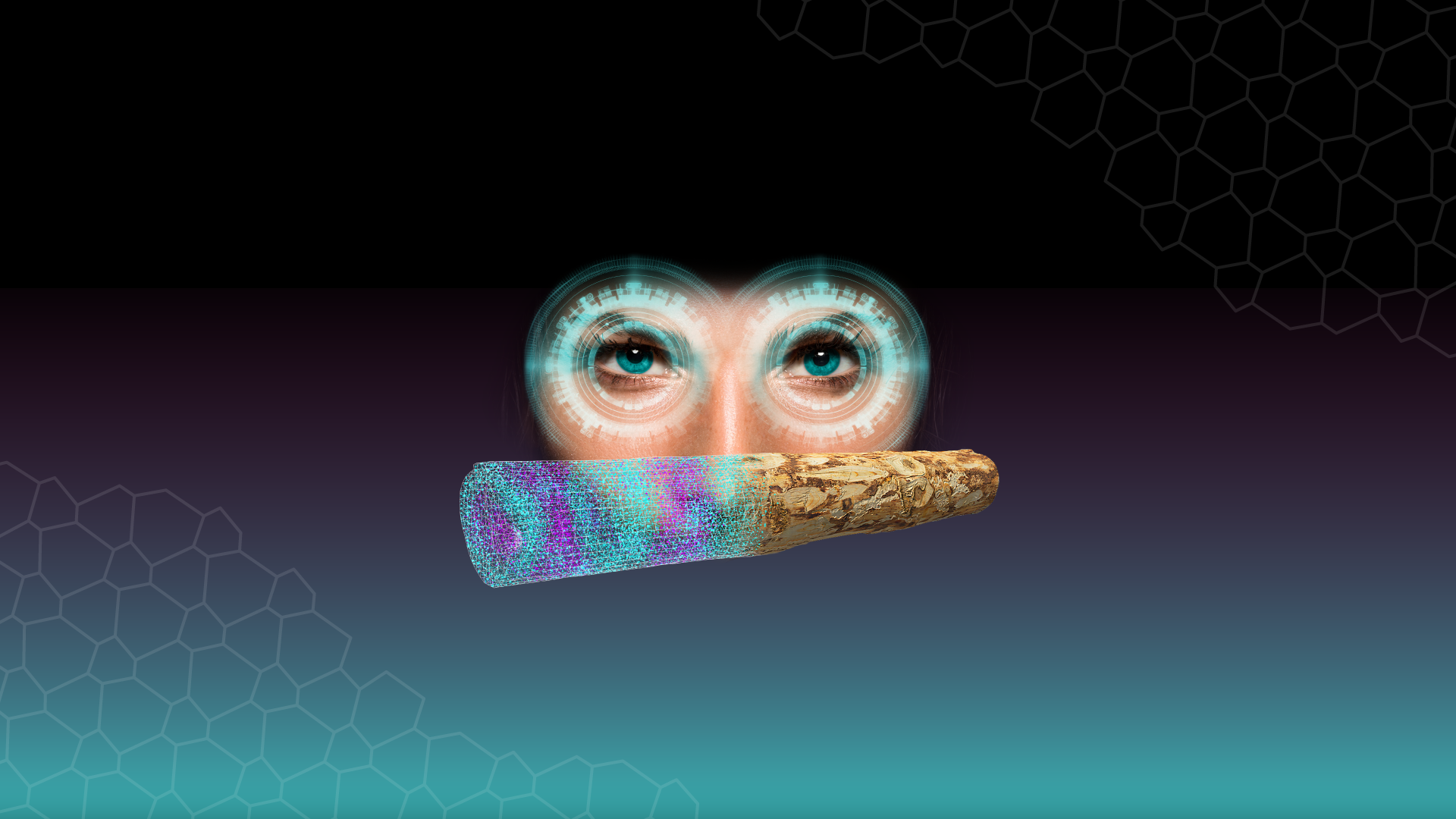 MiCROTEC - Innovating Wood