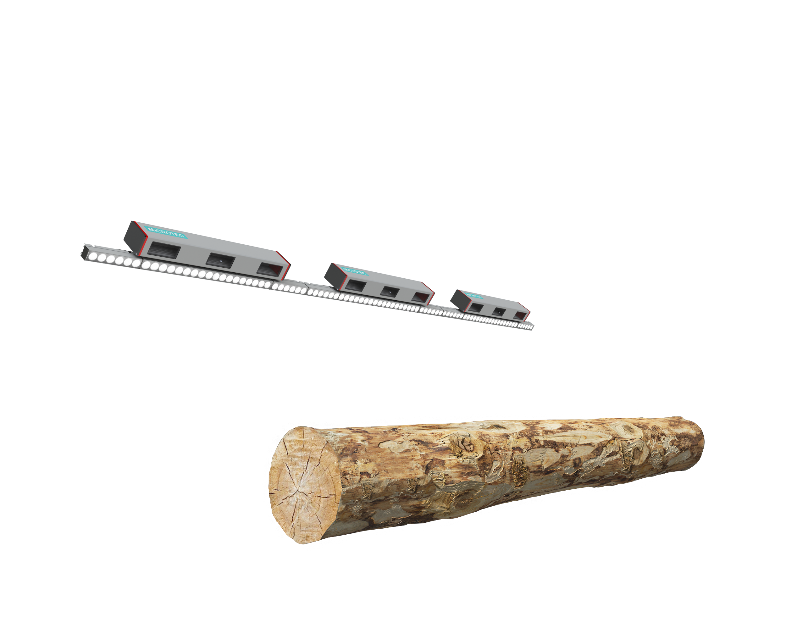 MiCROTEC - Innovating Wood