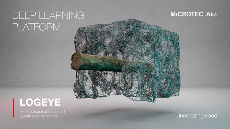 MiCROTEC - Logeye