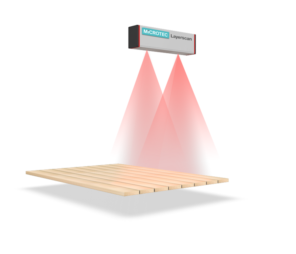 MiCROTEC - Goldeneye Transverse