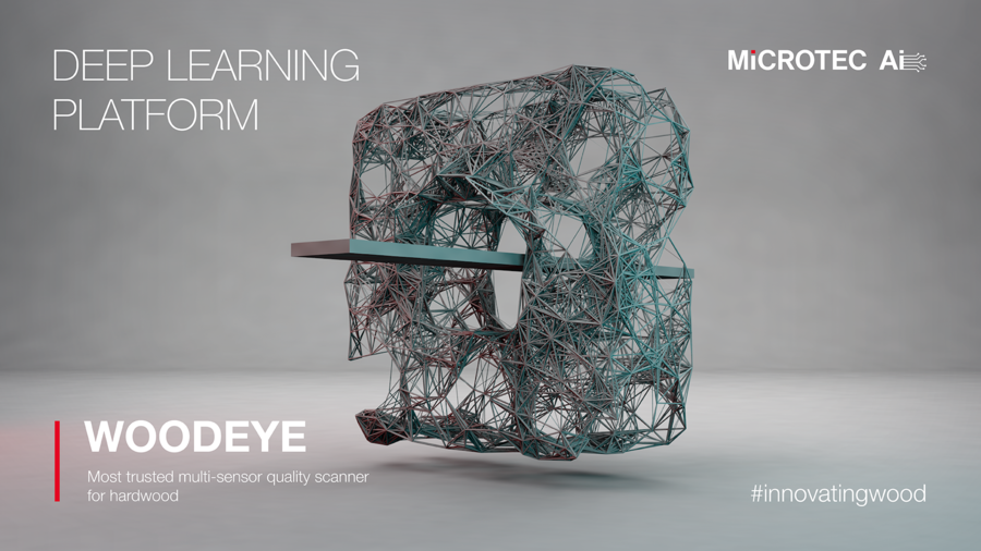 MiCROTEC - Woodeye