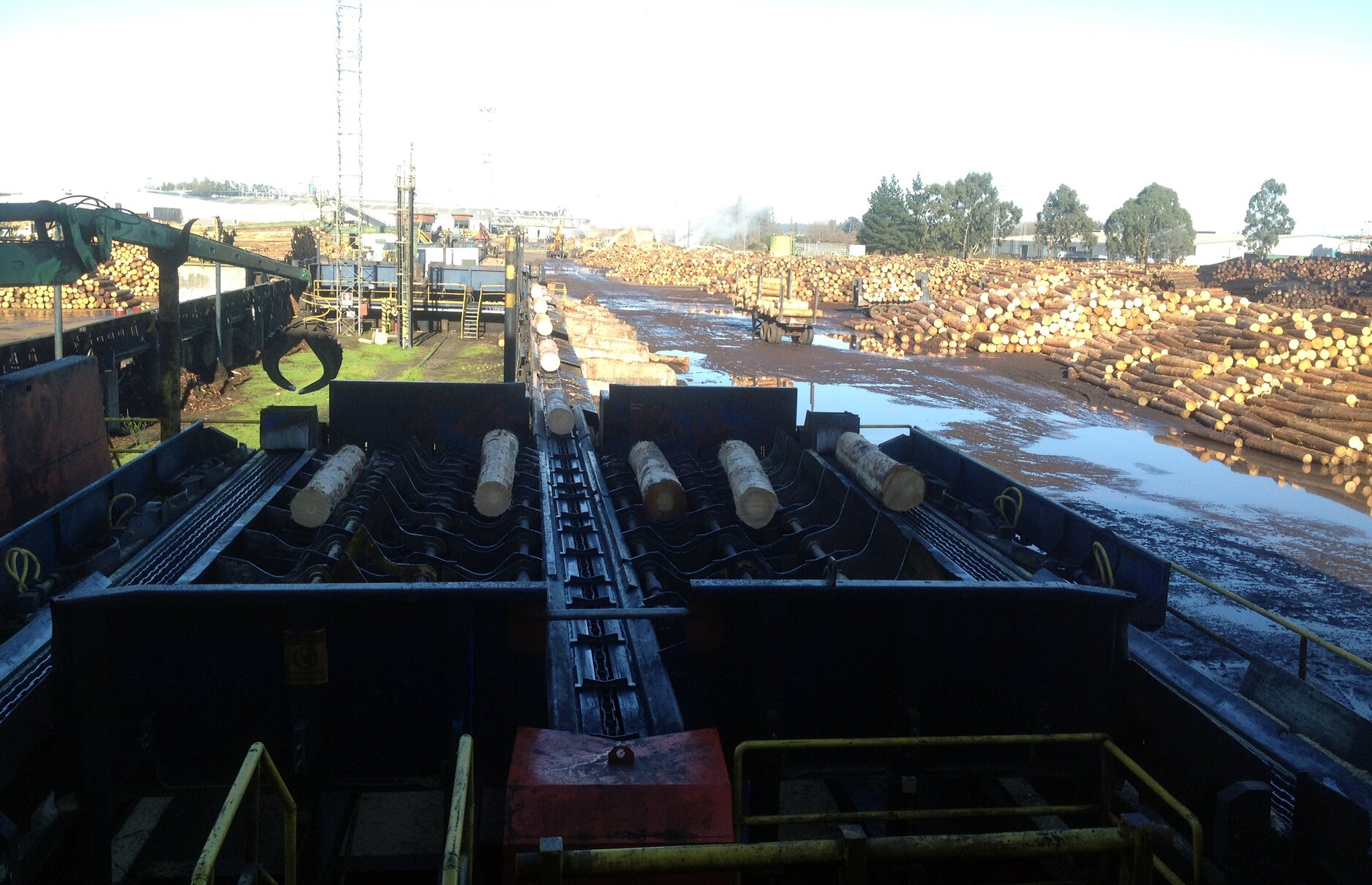 MiCROTEC - CT Log Scanner pays back in less than a year