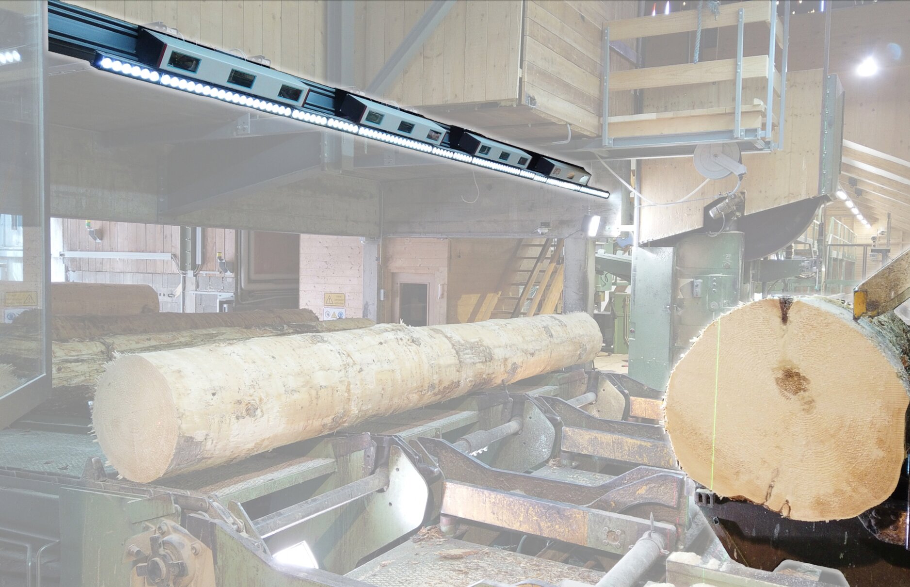 MiCROTEC - Logeye Stereo: Combining traditional knowledge with MiCROTEC ...