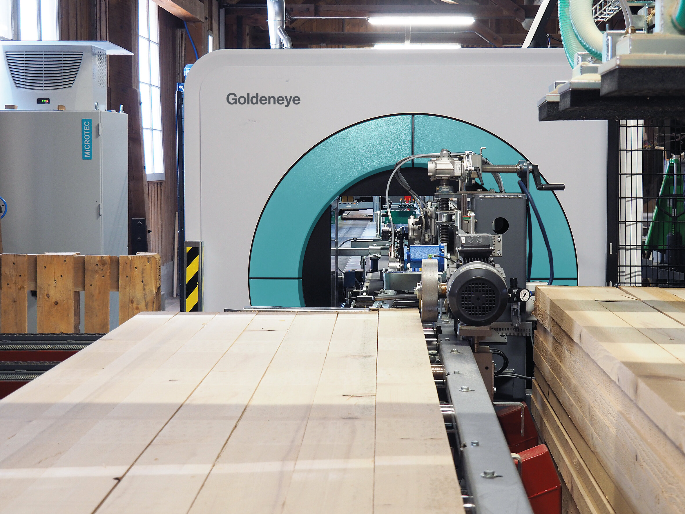 MiCROTEC - Goldeneye