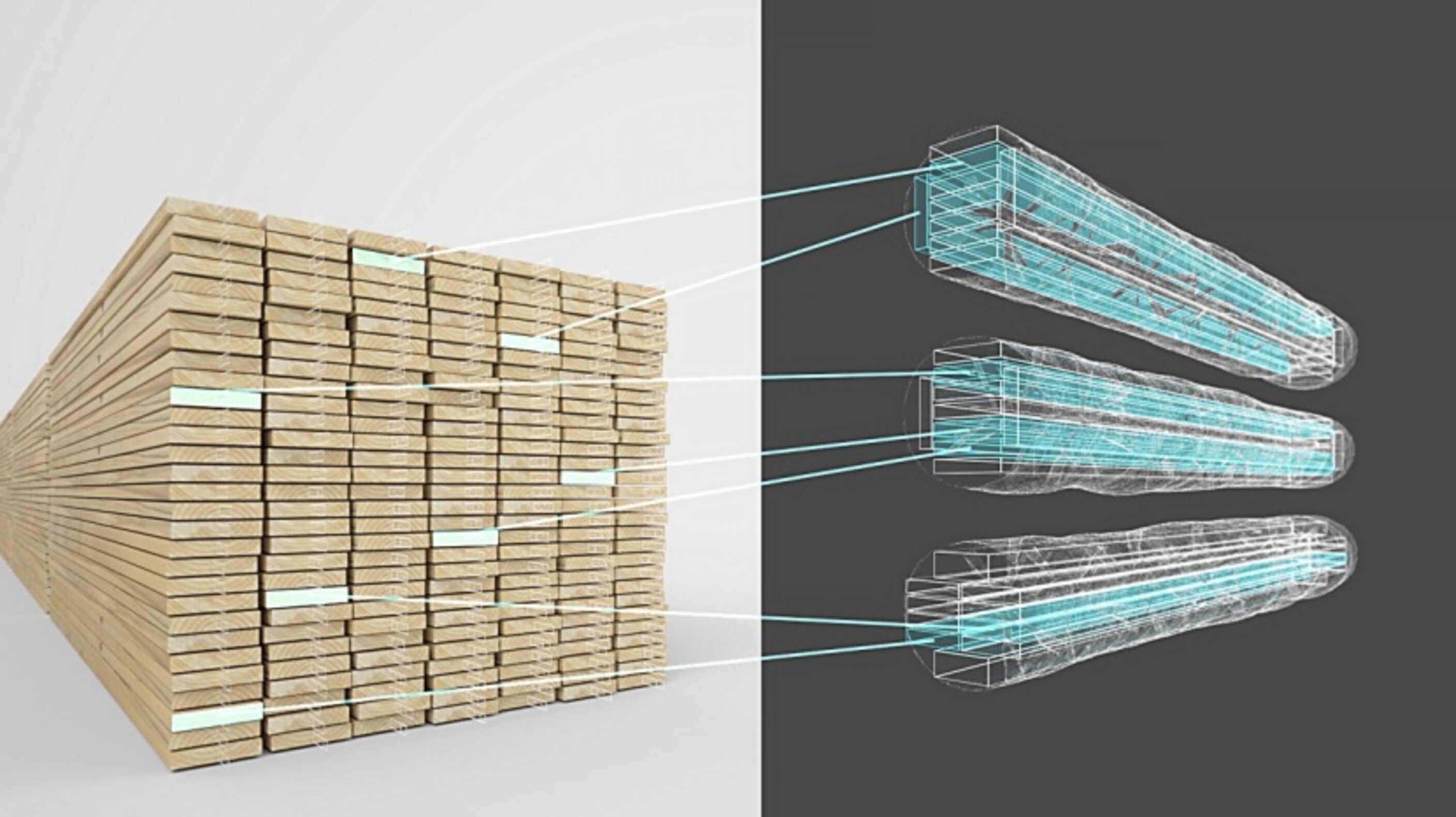 MiCROTEC - MiCROTEC Connect: Europe’s most productive sawmill