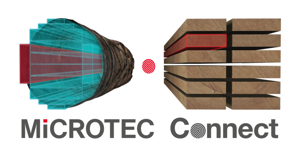 MiCROTEC - Innovating Wood