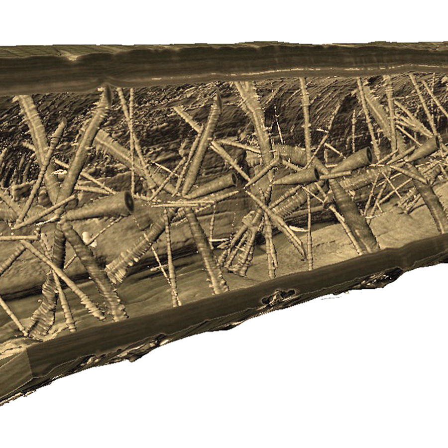 MiCROTEC - Technology